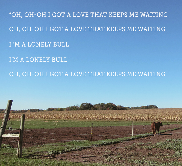 Lonely Bull – SOILED
